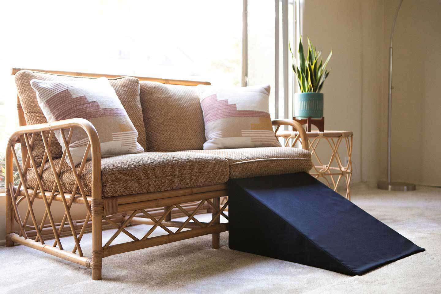 The Original Wag Ramp